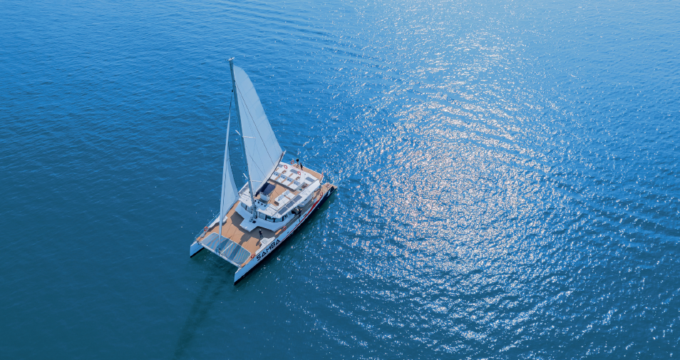 Hérault. AMC Cape Grace présente « Samba » : premier maxi-catamaran à ...