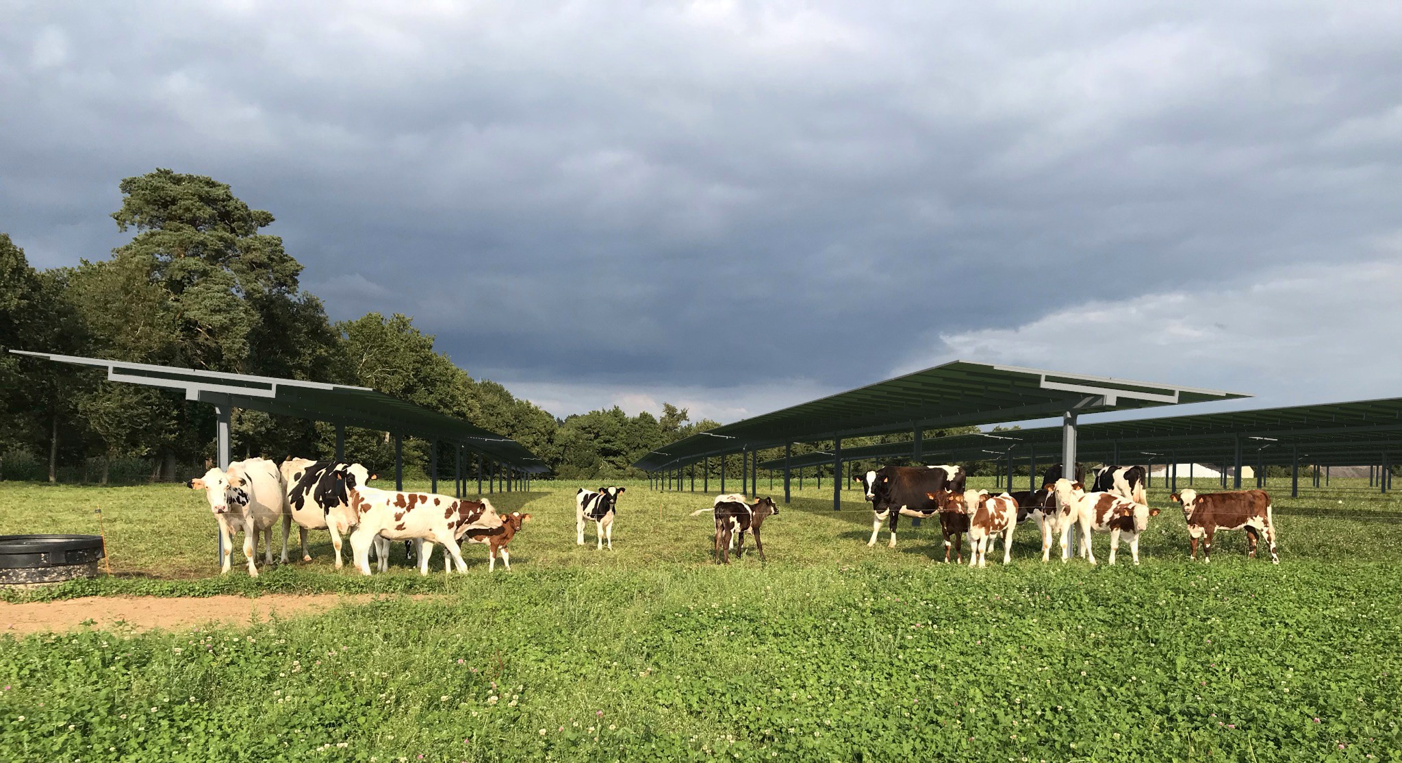À Montpellier, EFEA sécurise l’avenir des agriculteurs grâce à un ...