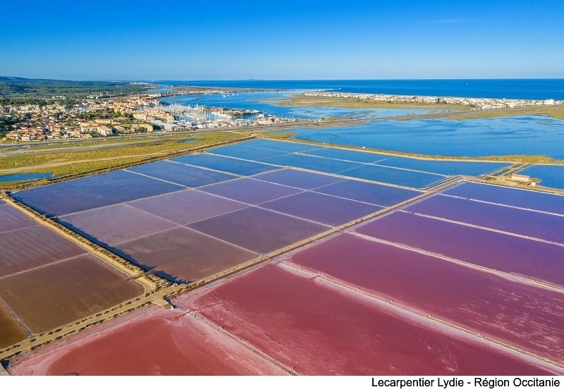 Aude. Acteur du tourisme industriel, Le Salin de Gruissan ouvre une ...